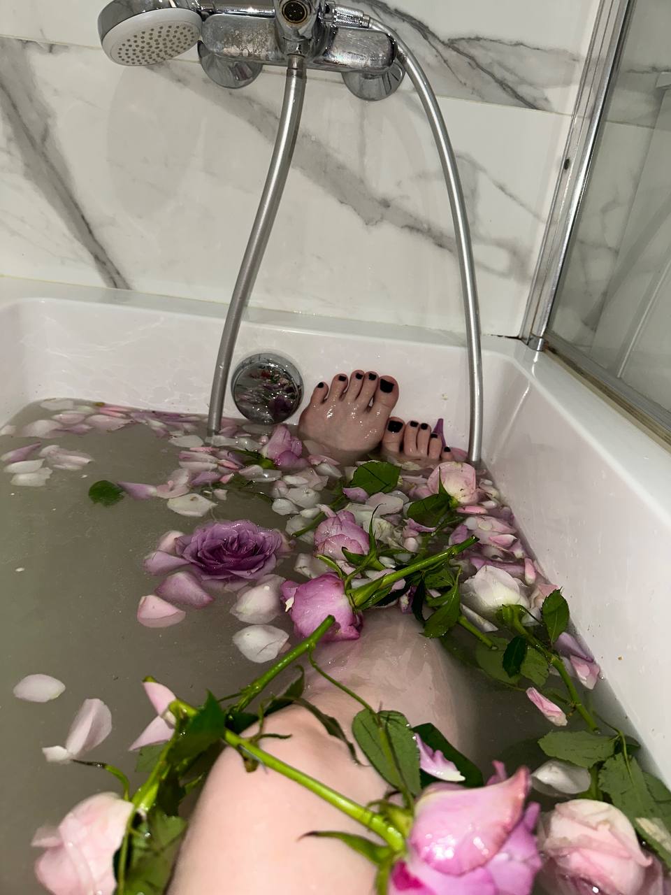 Telegram channel "СВЕТА СОЛЛАР" — @sveta_sollar_official — TGStat