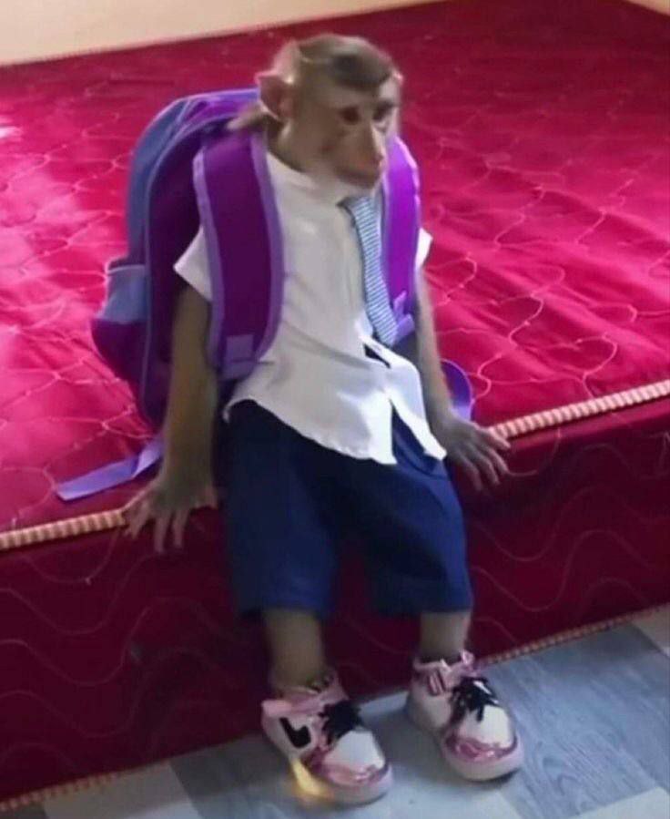 Post #3027 — МЕМНЫЕ АВАТАРКИ (@avamemy)